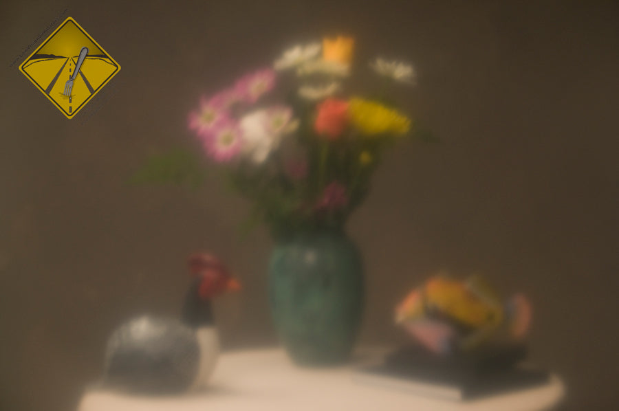 Macular Degeneration Vision Simulator